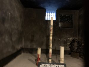 Defenders of the Catholic Faith | Hosted by Stephen K. Ray | Author of ...